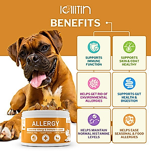 Lollitin Dog Supplement - Made in USA - All Natural - Dog Chews 120 Count - Dog Supplements for Small, Medium, Large Dogs, All Breeds (Allergy)