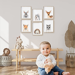 Designs by Maria Inc. Set of 6 UNFRAMED Animal Posters | Watercolor Animal Wall Decor | Woodland Nursery Decor | Baby Decor For Nursery Wall Art | Baby Room Wall Decor For Kids Boys And Girls (8"x10")