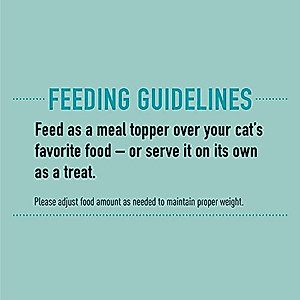 Tiki Cat Born Carnivore Functional Topper Skin & Coat, Salmon in Broth, Highly Palatable with Aromatic Salmon for Picky Eaters, Wet Cat Food Mousse, 1.5 oz. Pouch, (Pack of 12)