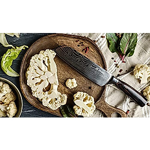 Yatoshi 4-Piece Steak Knife Set - Pro Kitchen Knife Set Ultra Sharp High Carbon Stainless Steel