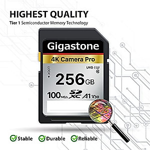 Gigastone 256GB SD Card V30 SDXC Memory Card High Speed 4K Ultra HD UHD Video Compatible with Canon Nikon Sony Pentax Kodak Olympus Panasonic Digital Camera, with 1 Mini case