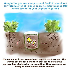 Root Vegetable Seeds for Planting Vegetables and Fruits,Non-GMO Heirloom Vegetable Seeds Vegetables Seeds at Home Vegetable Garden and Hydroponics Seed Pods (600ct Danvers Carrot Seeds, 1 Gram)