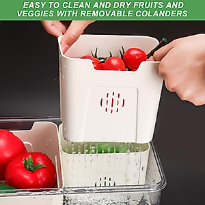 shopwithgreen Fruit Storage Containers for Fridge with Lid and Handle, Portable Fresh Produce Saver, Food Box Container with 4 Removable Colanders for Berry, Vegetable, Refrigerator Organizer Bins