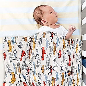 Minky Baby Blanket Plush Mink Blanket Nursery Bed Blanket with Dotted Backing for Baby Boy Baby Girl 30x40 Inches (Car)