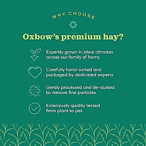 Oxbow Animal Health Western Timothy Hay - All Natural Hay for Rabbits, Guinea Pigs, Chinchillas, Hamsters & Gerbils -Veterinarian Recommended- Grown in the USA-90 oz.