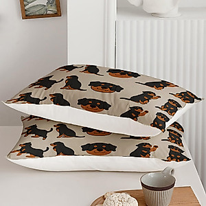 Axolotl Puppy Dog Fitted Sheet Queen,Cute Rottweiler Bedding Sheet Set,Cartoon Pet Puppy Fitted Sheet,Lovely Animal Sheet Set For Kids Boys Girls Teens Adults,1 Flat Sheet 1 Fitted Sheet 2 Pillowcases