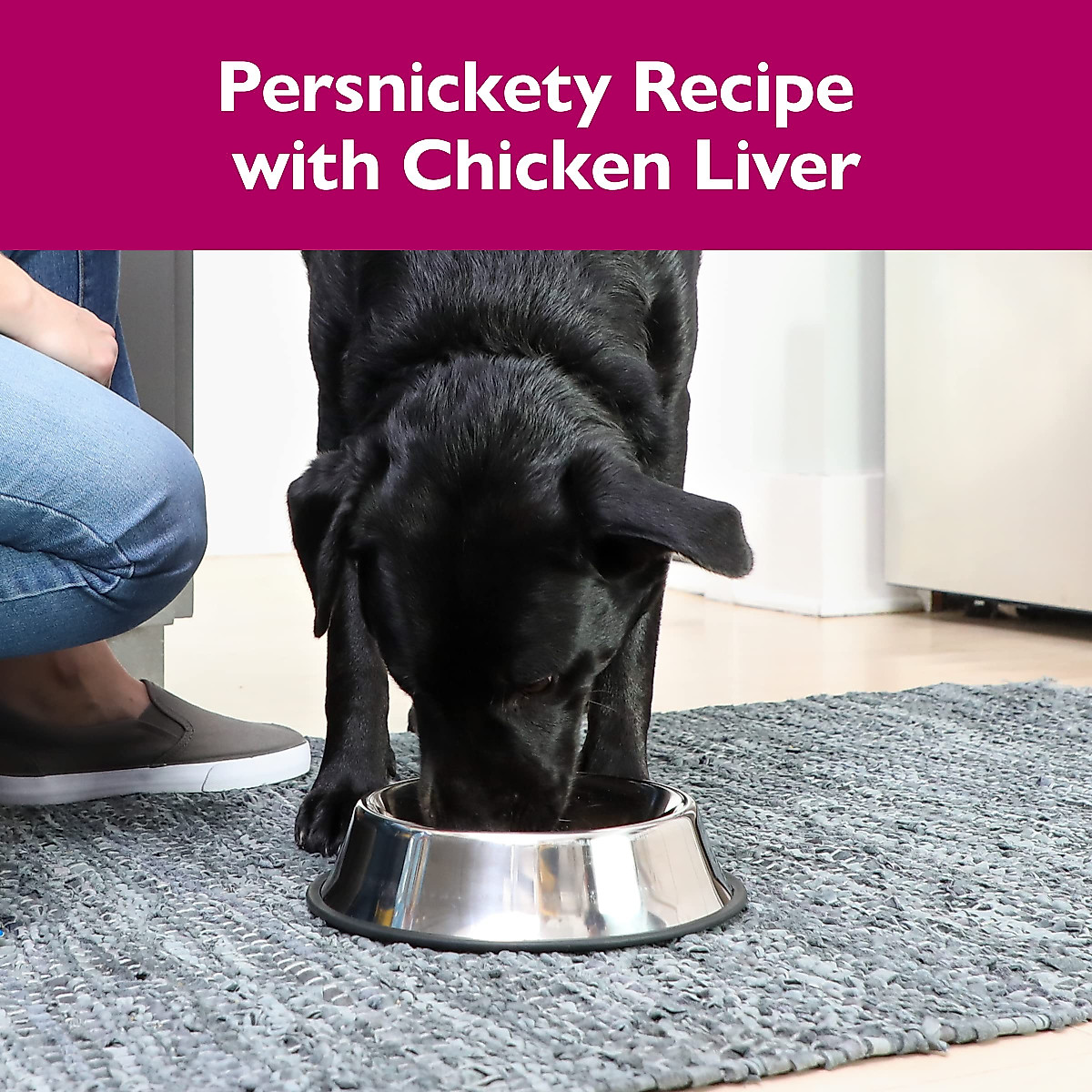 Bil-Jac Picky No More Medium & Large Breed Chicken Liver Recipe Dry Dog Food 6 Pounds (2-Pack)