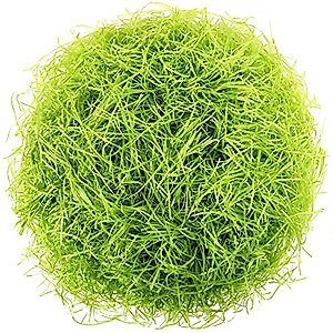 Zonon 10.6 oz/ 300 g Easter Basket Grass Filler Paper Easter Basket Stuffing Grass Bulk Shredded Tissue Easter Grass Gift Filler for Easter Egg Basket Stuffer Party Supplies DIY Candy Package (Green)