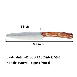 AYANICA Kitchen Knife 4.5 inch Lightweight High Carbon Stainless Steel Sharp Blade Wooden Ergonomic Handle Paring Peeling Fruit Slicing
