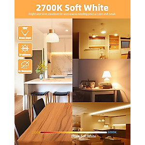 Lumiverse A19 Led Light Bulb, 9 Watt [60W Equivalent], 2700K Soft White, E26 Base Bulb, Non-dimmable, 800lm Light Bulbs, UL Listed, 24 Pack