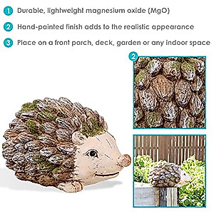 Sunnydaze Hazel The Hedgehog Garden Statue Decor - Hand-Painted Sculpture for Patio, Lawn, Garden and Indoor Living Spaces - 7-Inch