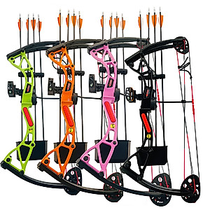 Linkboy Kid Compound Bow Set for Youth and Beginners 9-13 years Brithday Gift, Right Handed,Amounted for Shooting,Easy learning Adjustable 10-20 Lbs Archery Practice Safe arrows Passionate Orange