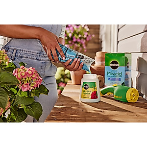 Miracle-Gro Water Soluble Miracid Acid-Loving Plant Food