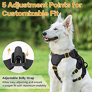 rabbitgoo Escape Proof Dog Harness, Soft Padded Full Body Pet Harness, Reflective Adjustable No Pull Vest with Lift Handle and Leash Clip for Large Dogs Walking Hiking Training, L, Black