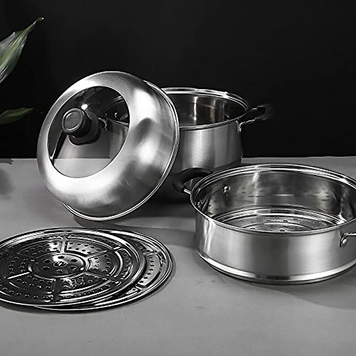 Beeiee Steamer pot for cooking,8.5 Quart,Vegetable steamer,Food steamer,Dumpling steamer,Veggie steamer,Seafood steamer,Fish steamer,Egg steamer,Bun steamer,Steamer cookware,Stainless steel