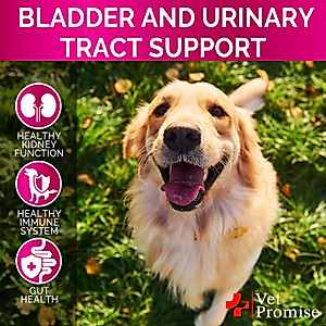 Dog UTI Treatment - Cranberry Supplement for Dogs UTI - Bladder Control for Dogs - Dog Urinary Tract Infection Treatment - UTI Medicine for Dogs - Dog Cranberry Supplement Vitamins Multivitamin Chews