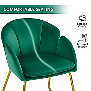 Yaheetech Velvet Dining Chair, Flower Shaped Armchair with Golden Legs, Upholstered Side Chair for Kitchen Dining Room Living Room, Set of 2, Green