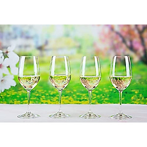 Nachtmann White Wine Glass, 4 Count (Pack of 1), Clear