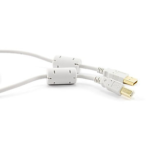 CABLESONLINE.COM ATLANTIC COMPUTERTECH 20 Feet A/B Hi-Speed with Ferrite Cores USB 2.0 Cable