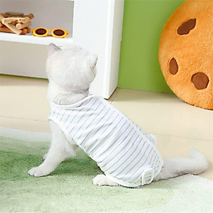 Cat Recovery Suit Post Surgery Shirt for Puppy, Wound Protective Clothes for Little Animals Dogs Cats (Large)