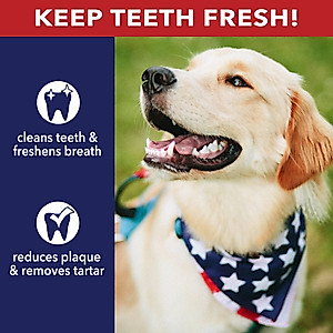 Pet Factory American Beefhide 21" Knotted Bone Dog Chew Treat - Chicken Flavor, 1 Count/1 Pack