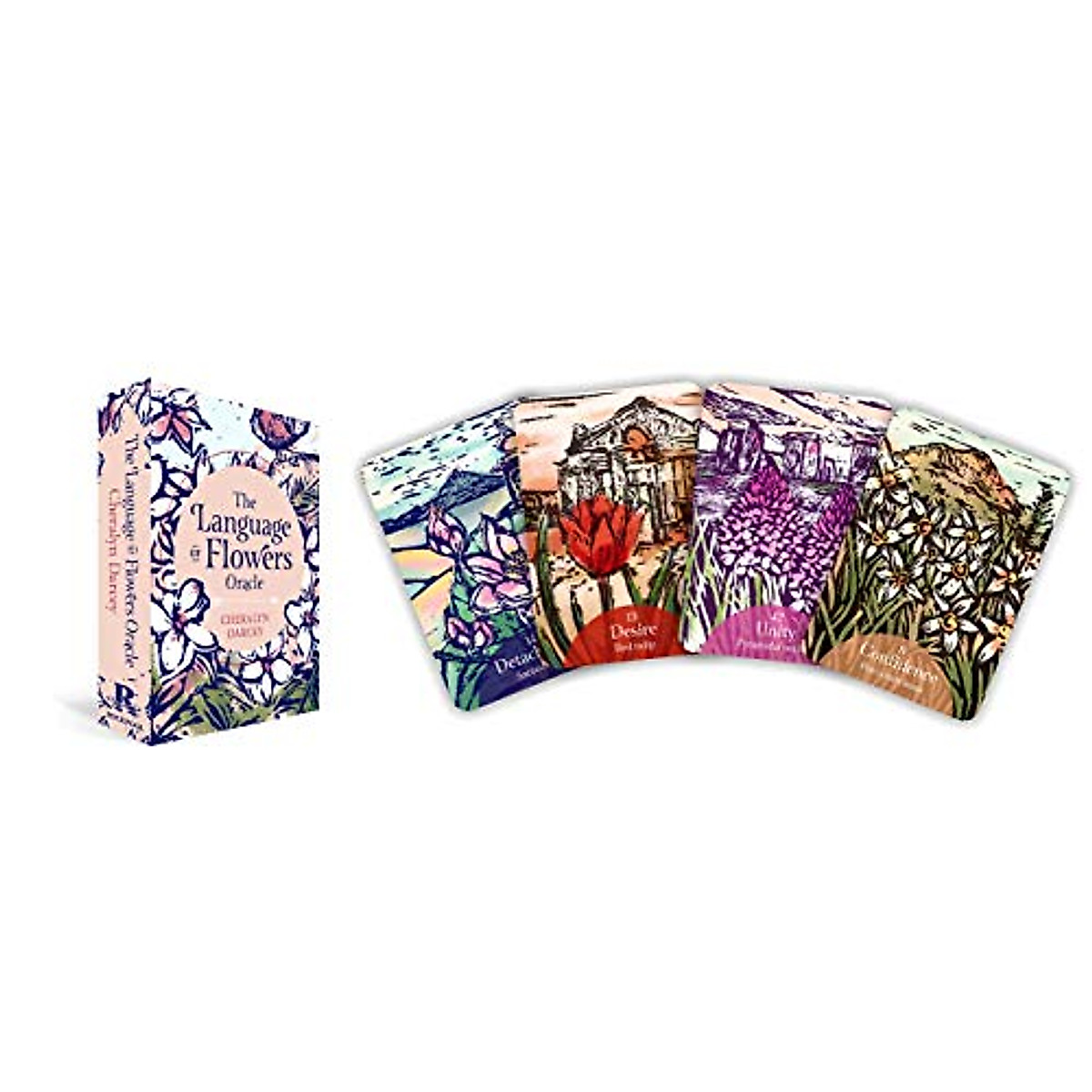 The Language of Flowers Oracle: Sacred botanical guidance and support (44 Full-Color Cards and 144-Page Guidebook) (Rockpool Oracle Card Series)