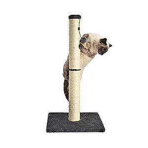 Amazon Basics Cat Scratching Post, Medium, 15.75" x 15.75" x 31.5"H, Grey
