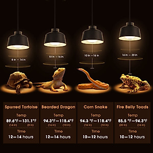 Briignite Heat Lamp Bulbs, UVA Reptile Light, 100W Reptile Heat Lamp Bulbs, E26 Base Basking Spot Bulb for Reptile, Full Spectrum Heat Light Bulb for Turtle Lizard Tank, Bearded Dragon, 2 Pack