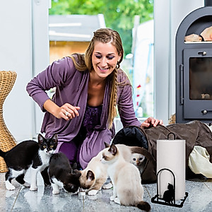 Megier Paper Towel Holder, Kitchen Countertop Paper Tower Stand, Fits Standard Jumbo Roll in Dining Table or Bathroom, Metal Paper Towel Toilet Paper Dispenser with Heavy Duty Base (Black)