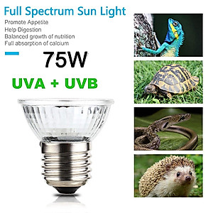 OMAYKEY 75W 6 Pack UVA + UVB Full Spectrum Sun Lamp Sunbathe Heat Lamp/Bulb/Light for for Lizard Bearded Dragon Chameleon Snake Turtle Aquarium Reptiles & Amphibians