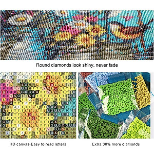 Lxmsja Diamond Art Painting Kit, Diamond Art Painting Flowers, Diamond Art Painting Kits for Adults, Diamond Art Kit for Adult, Diamond Art Kit, Diamond Art Painting Kit for Beginner (11.8X15.7inch)