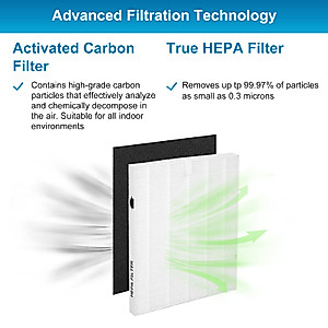 C545 HEPA Replacement Filters Compatible with Winix C545, P150, B151 Air Purifier, replace for Filter S, Air Filter Part# 1712-0096-00,2522-0058-00,2 H13 True HEPA + 8 Prefilter