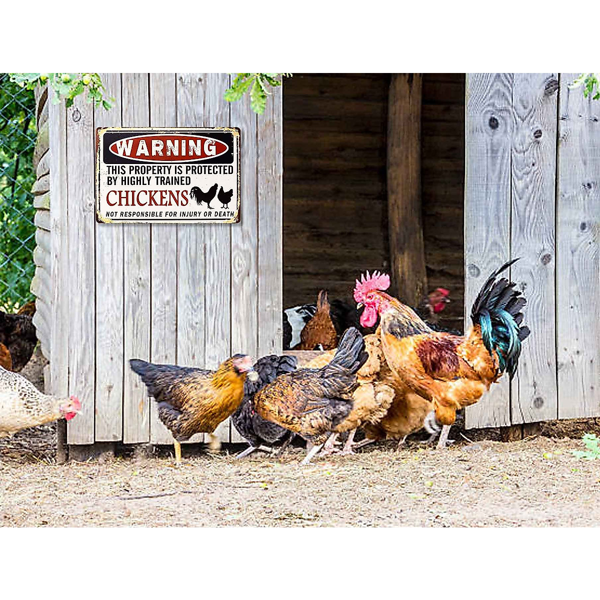 Bestylez Funny Chicken Coop Warning Sign Outdoor Chicken House Decor Gifts For Chicken Lovers 12" * 8" (219)