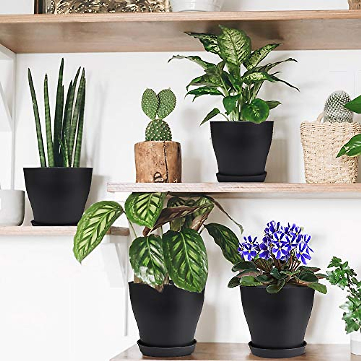 homenote Plant Pots, Set of 15 Plastic Planters with Multiple Drainage Holes and Tray 6 inch Indoor Plant Pot for All Home Garden Flowers Succulents (Black)