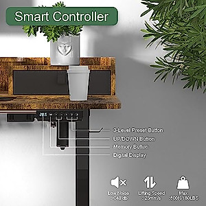 ExaDesk 55×30 Inch Electric Standing Desk with 2 Drawers, Adjustable Height Widened Stand Up Desk with Storage Shelf, Sit to Stand Ergonomic Workstation for Home Office