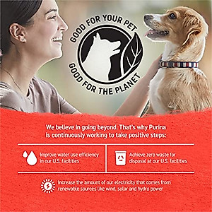 Purina Beyond Chicken, Beef and Cod Ground Entree Grain Free Wet Dog Food Variety Pack - (12) 13 oz. Cans