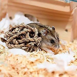 SOYANGNEK Hamster Chew Toys 12PCS Bunny Toys for Rabbits Guinea Pig Toys Natural Timothy Hay Sticks Chinchilla Toys for Teeth Handmade Bunny Treats Gift Apple Wood Sticks Hamster Rat Gerbil