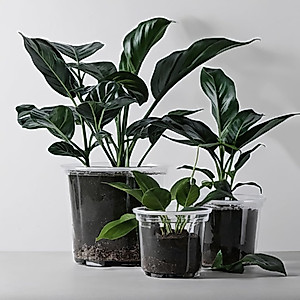 RAOOKIF 24 Pack 6/5/3.5 Inch Clear Nursery Pots with Drainage Holes, Transparent Nursery Pots Variety Pack, Flexible Plastic Nursery Pots for Plants, Garden Flower Pot