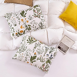 ECOCOTT 100% Cotton Pillowcases Standard Size, Floral Print Pattern Pillow Cover 2 Pack, Super Soft Envelope Closure Standard Pillow Case Set (Standard, 20"x26")