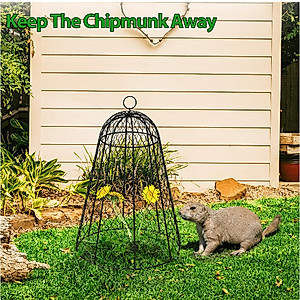 TAOMENNI (6 Packs) 14" D x 20" H Garden Cloches for Plants, Plant Cloche and Cover, Wire Plant Protectors from Animals, Protection for Your Plants and Seedlings, Heavy-Duty – Black