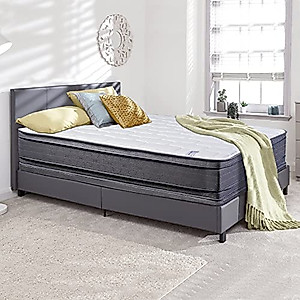 Treaton, 12-Inch Double Sided Foam Encased Double Pillow Top Medium Plush with Exceptional Back Support Mattress & 8" Wood Box Spring Set, Twin