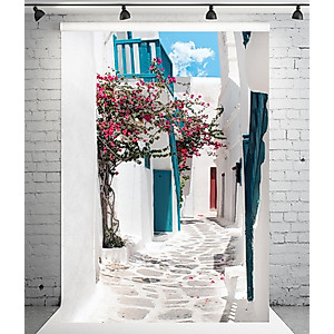 CORFOTO 6.5x10ft Greece Street Backdrop Narrow Street Background Mia Birthday Party Decorations Mia Themed Backdrop Greece Themed Party Decorations Greek Party Supplies Stone Path Wedding Banner Decor