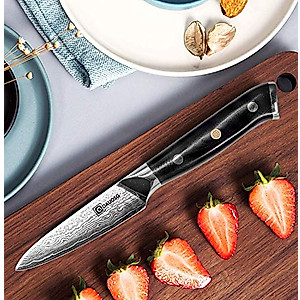 DDAUOSG Paring Knif 3.5 inch Japanese VG10 Super Steel 67 Layer High Carbon Stainless Damascus Steel Peeling Utility knives