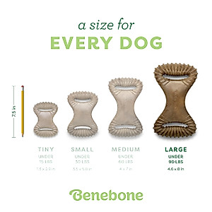 Benebone Dental Durable Dog Chew Toy for Aggressive Chewers, Real Bacon, Made in USA, Large