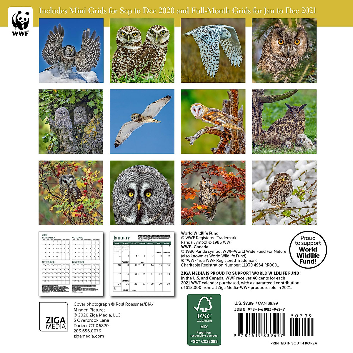 WWF Owls Mini Wall Calendar 2021, 7" x 7"