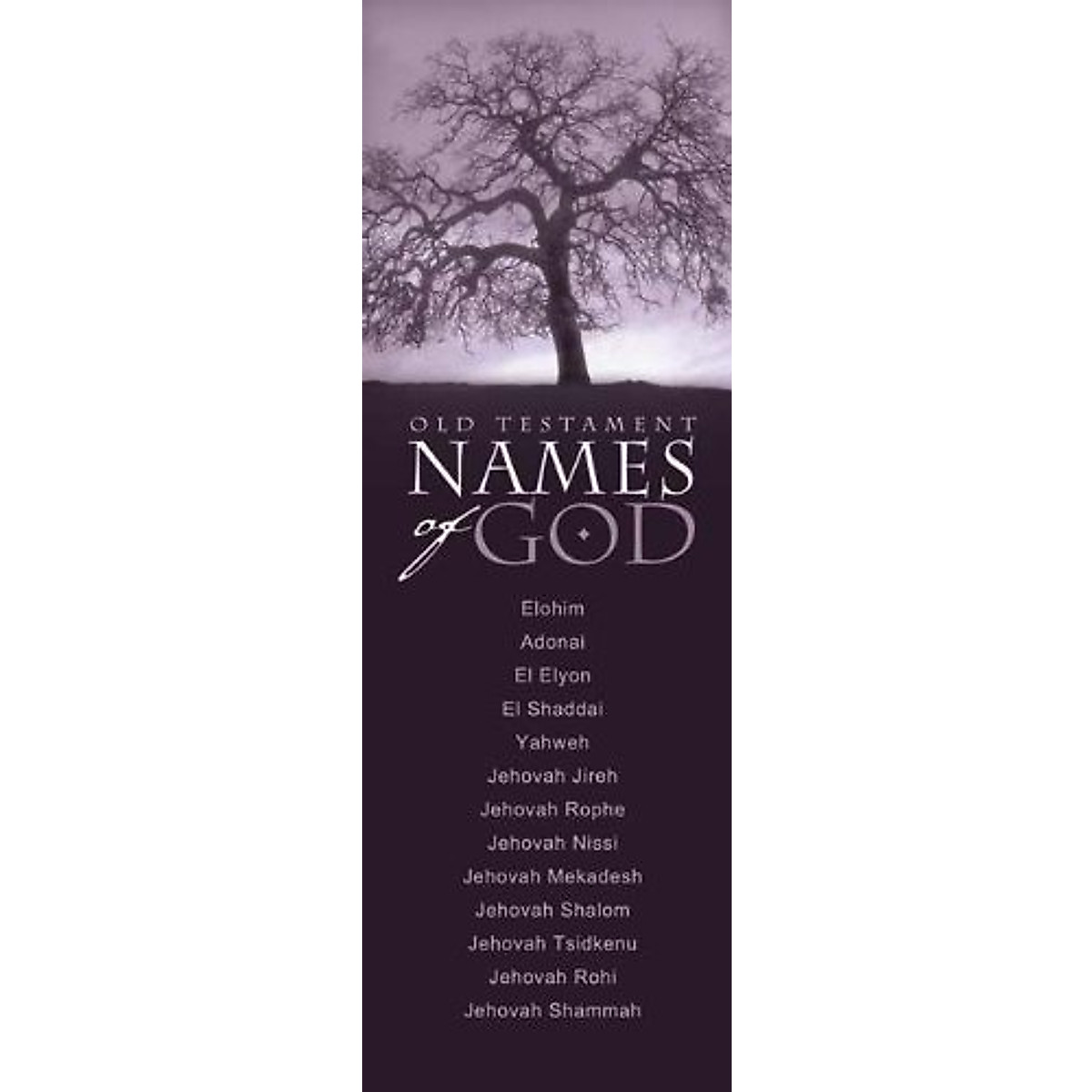 Bookmarks-Names Of God In Old Testament (Package of 25)