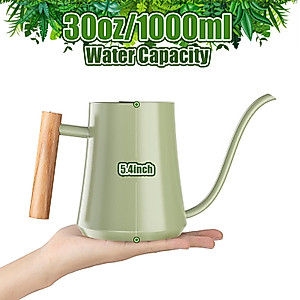 Watering Can Indoor Plants 35oz Sage Green Water Can Indoor Metal Small Water Can Pot with Long Spout for House Bonsai Plants Garden Flower Decorative