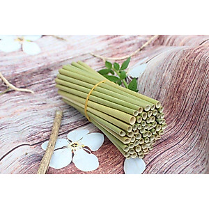 TXV Mart Eco-Friendly Disposable Party Grass Straws Drinking 100% Natural, Biodegradable, and Compostable (Pack of 100)