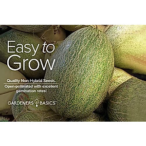 Honeydew Seeds for Planting - Green Flesh Melon Heirloom, Non-GMO Fruit Seed Variety- 2 Grams Seeds Great for Summer Honey Dew Melon Gardens by Gardeners Basics