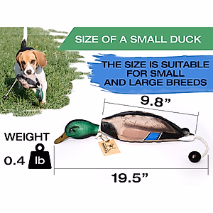 Pooch Buddy Duck Bumper Toy for Training Hunting Dogs, The Bird Dummy Teaches Mallard and Waterfowl Game Retrieval - Duck Scent Compatible - Suitable for Puppies or Adult Hunting Dogs